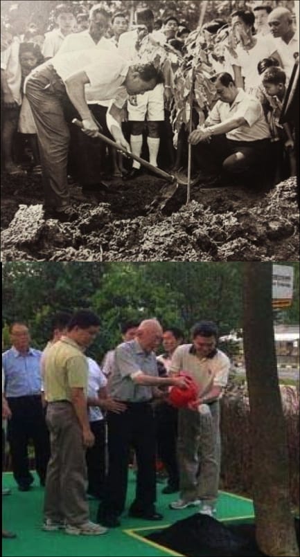 Singapore Chief Gardener | Remembering (managed by Ministry of Digital ...