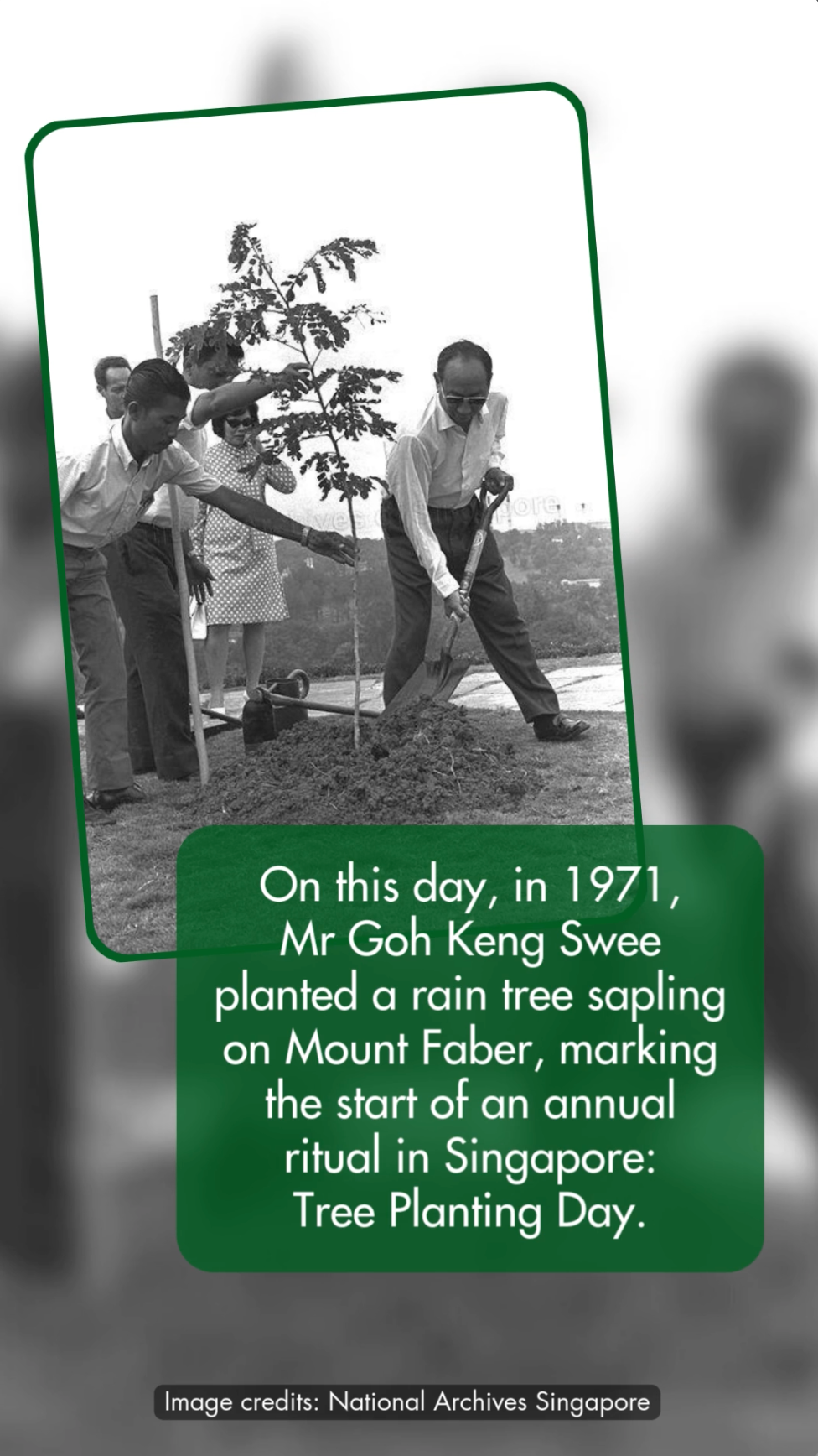 Tree Planting Day | SG101