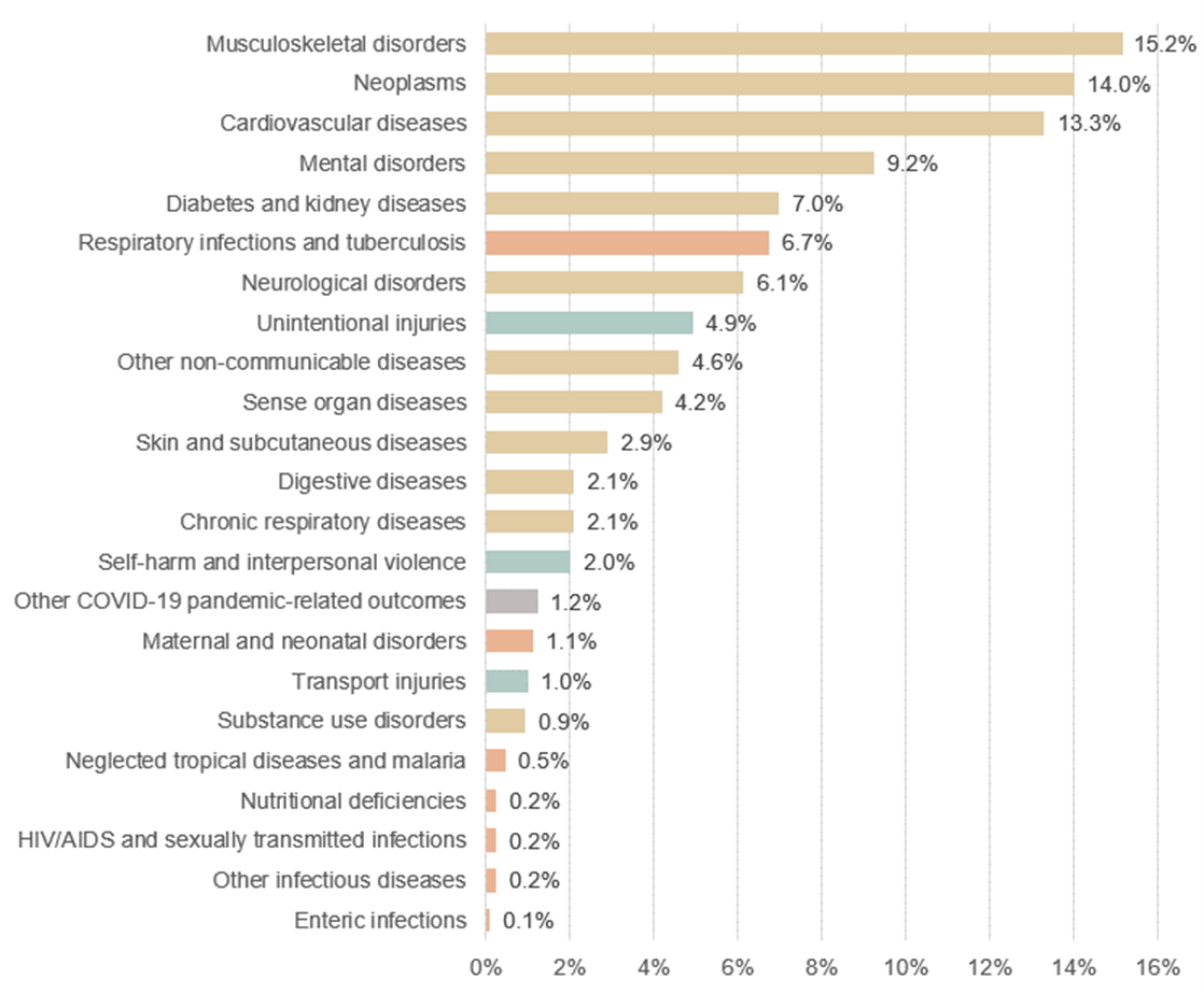 Disease Burden | Ministry of Health