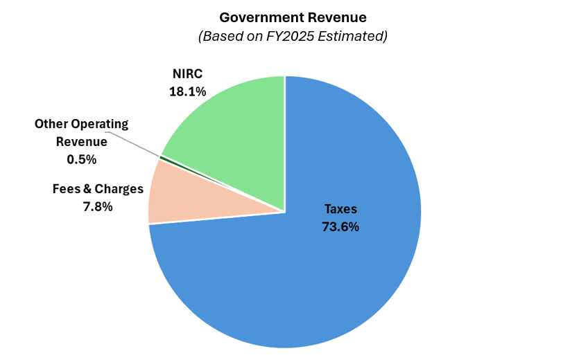 Where does Government revenue come from? | Factually