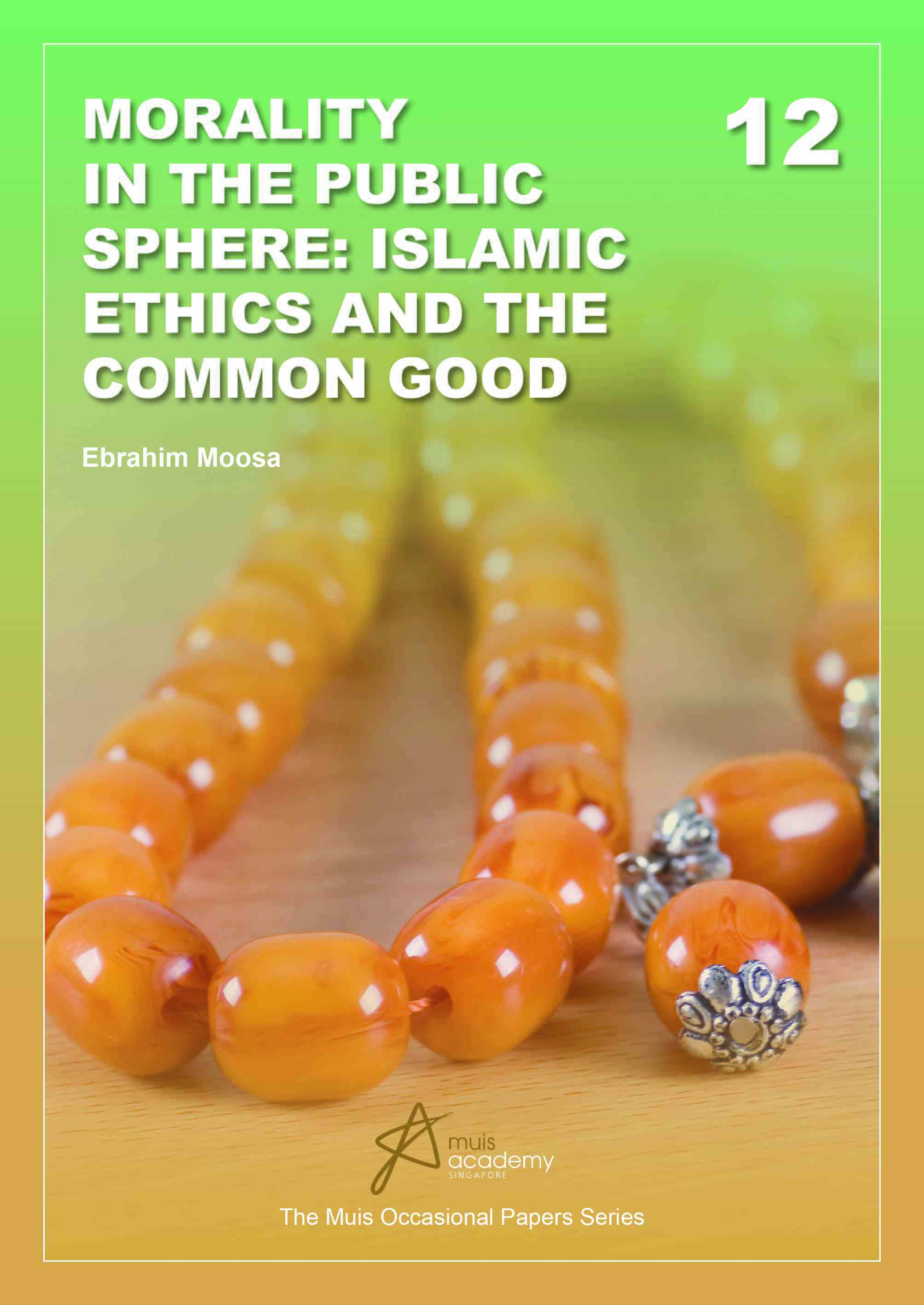 Morality in the public sphere: Islamic ethics and the common good ...