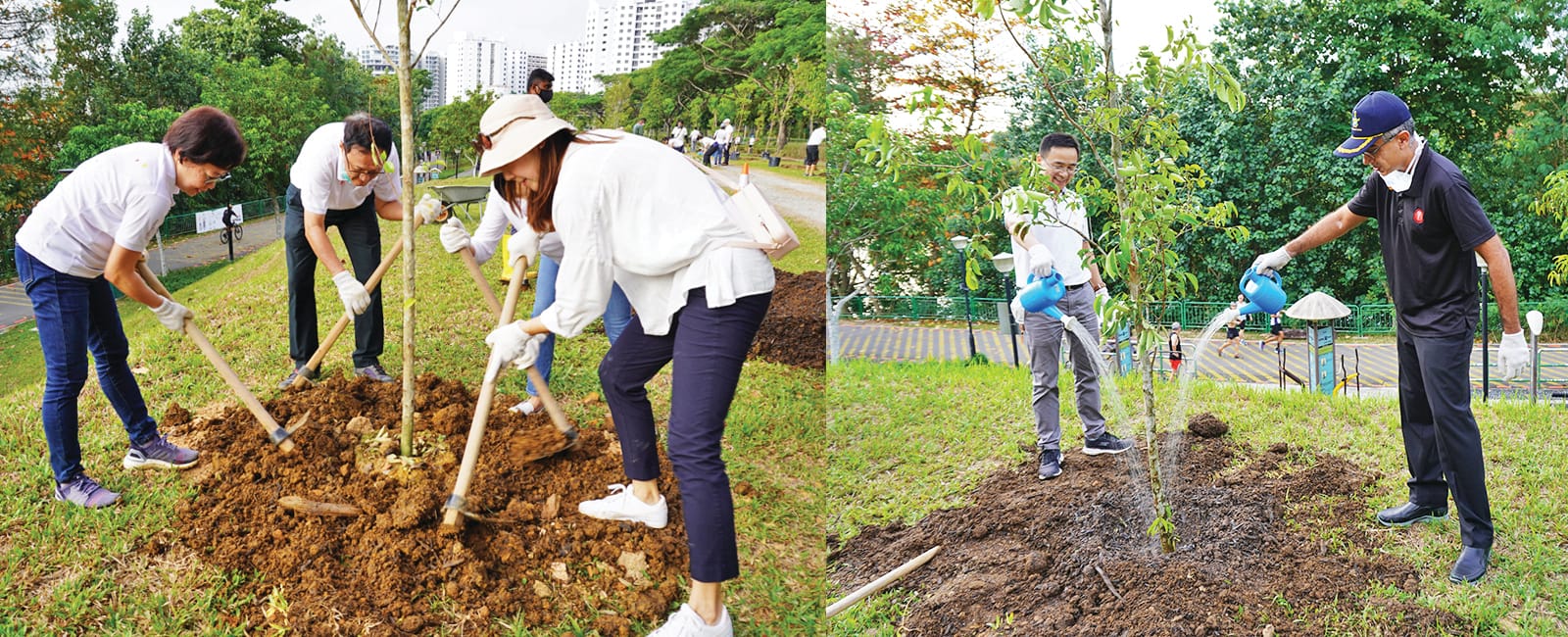 Box Story: The Singapore Green Plan 2030 | Centre for Liveable Cities ...