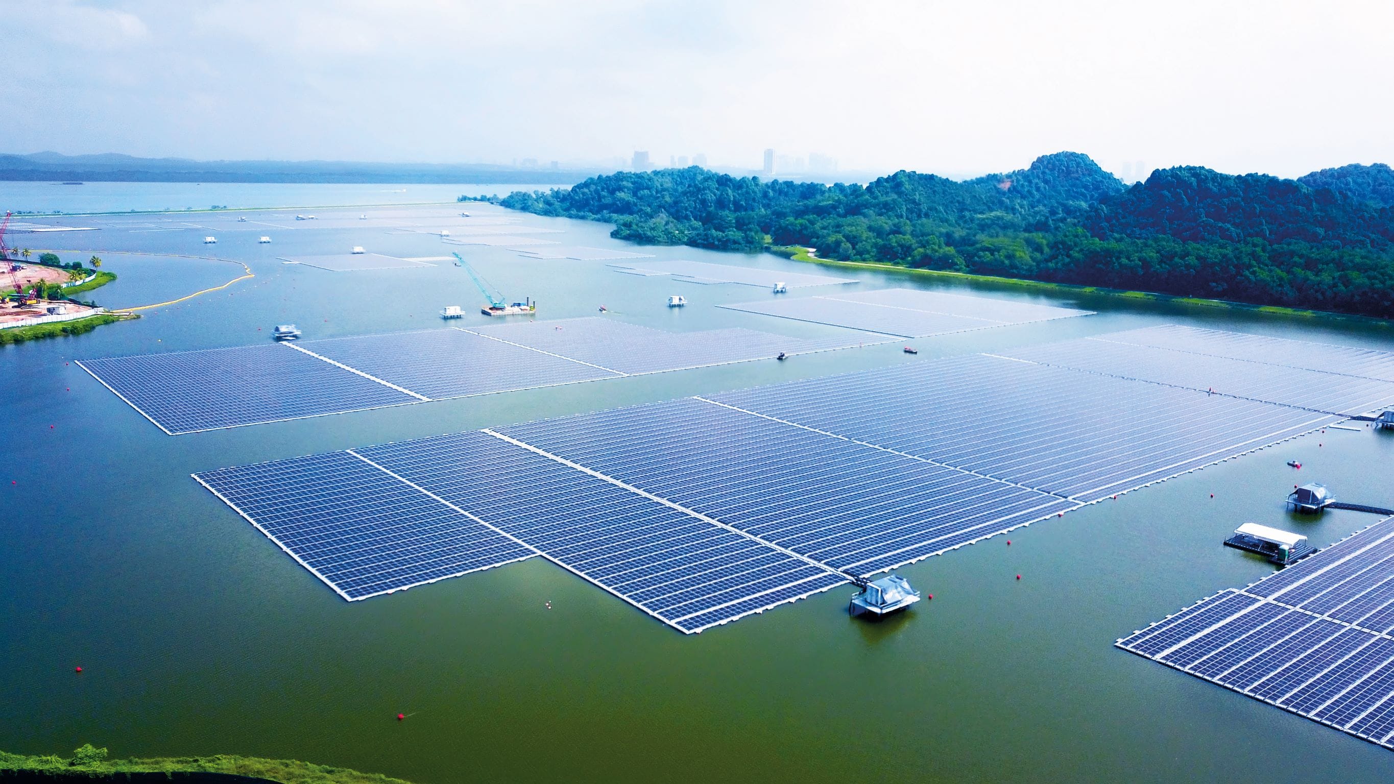 Sustainable Environment | Centre for Liveable Cities Knowledge Hub