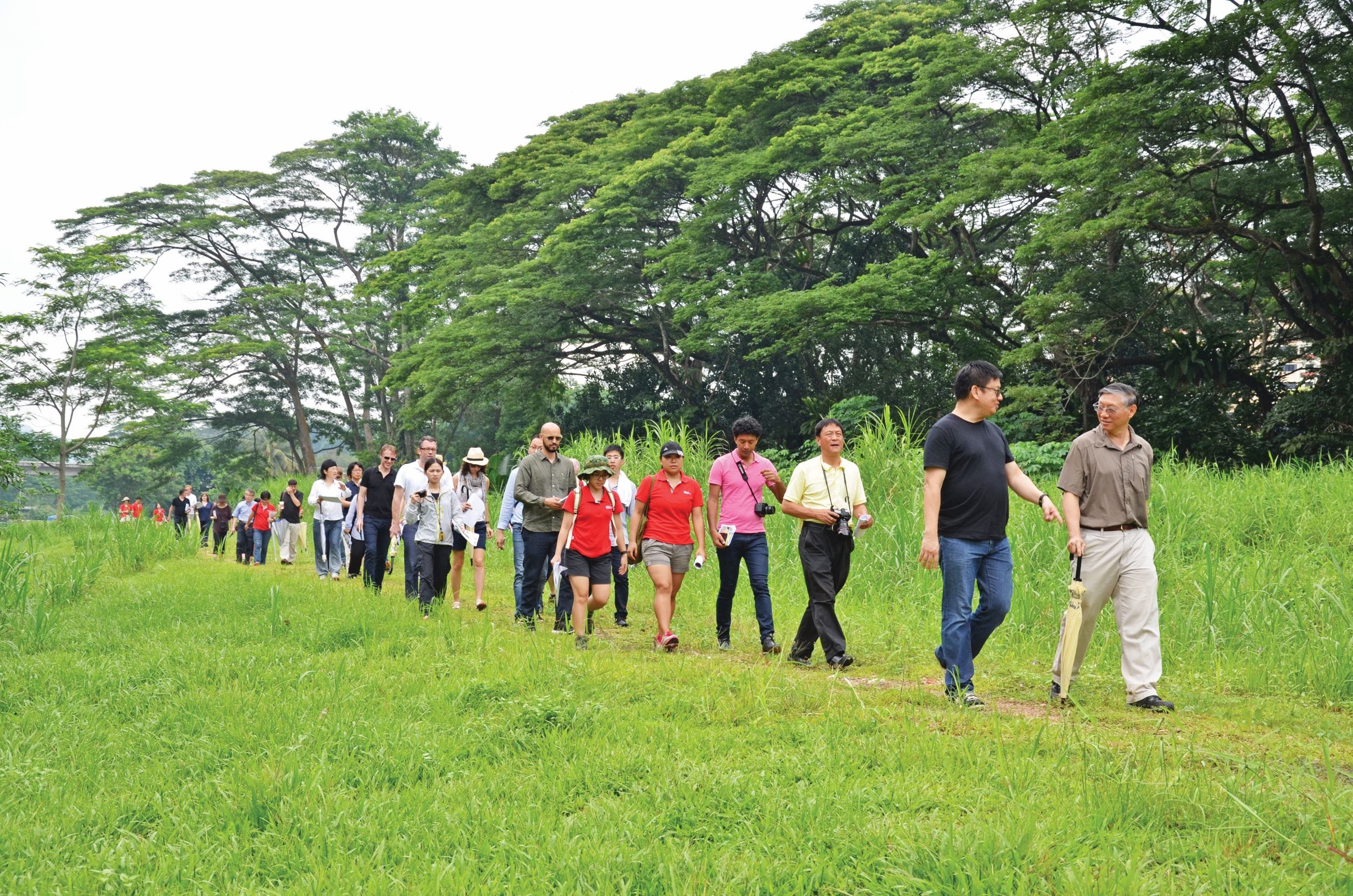 Box Story: Partnering with the Community to Re-Imagine the Rail ...