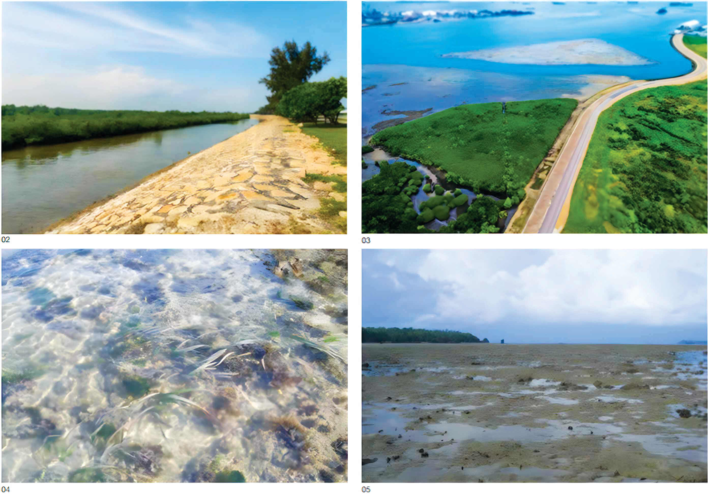 Box Story: Semakau Landfill Project – The “Garbage of Eden” | Centre ...