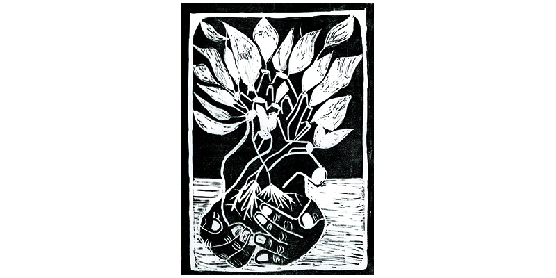 Muhammad Arif Bin Azman | Live On Festival