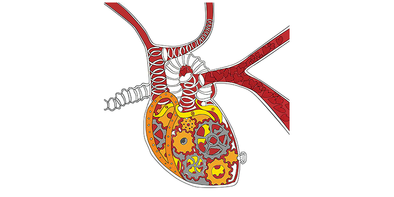 Tan Xiao Min | Live On Festival