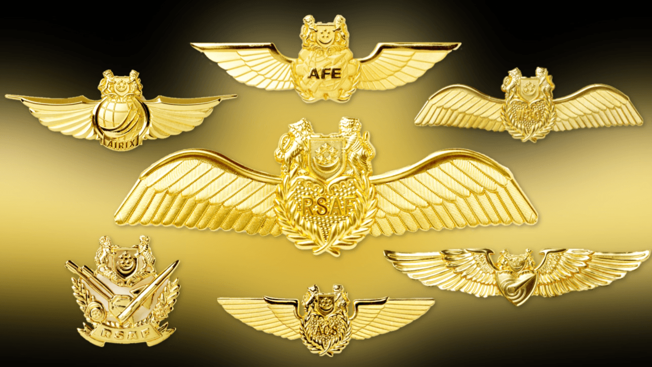 RSAF's forces | Republic of Singapore Air Force (RSAF)